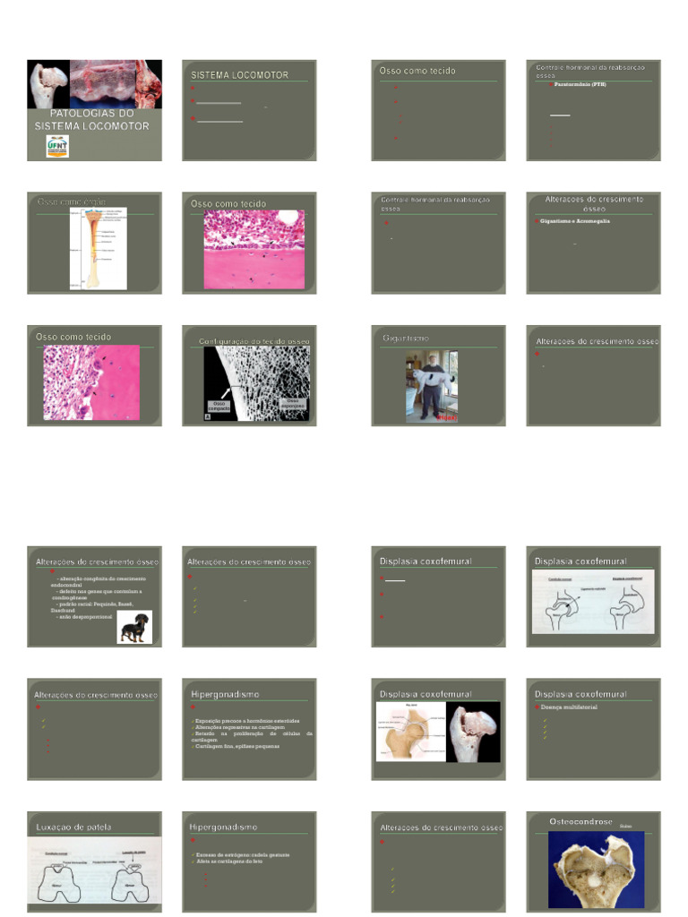 Patologias Do Sistema Locomotor FINAL | PDF | Osso | Artrite