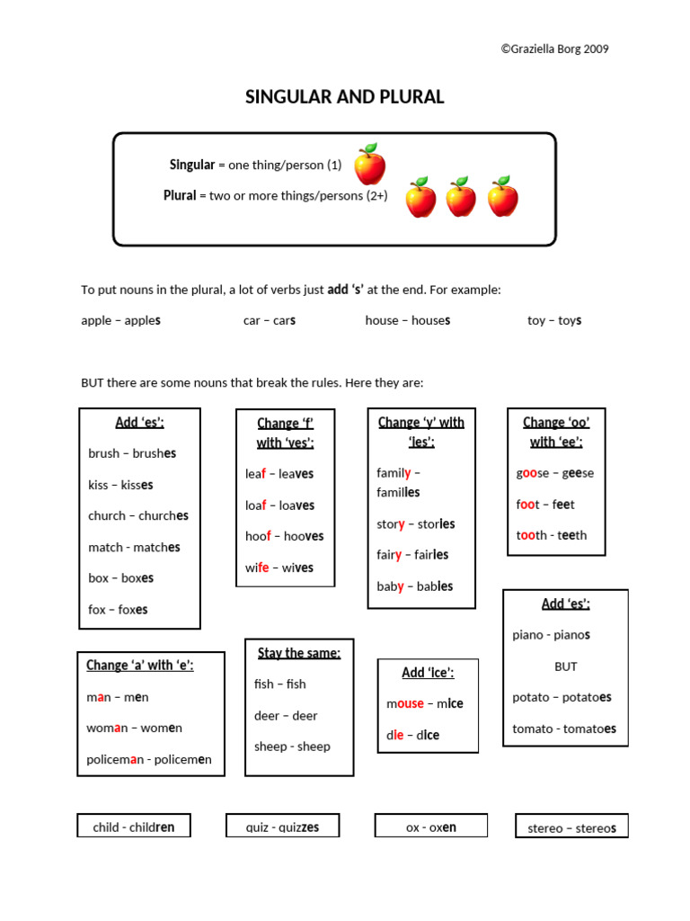 Singular Plural Notes Grammar Drills Grammar Guides - 9204 | PDF