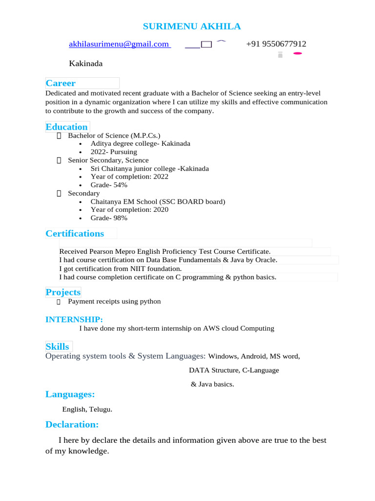Entry-Level Tech Graduate Resume | PDF