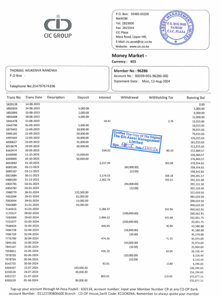 CIC Asset Management | PDF