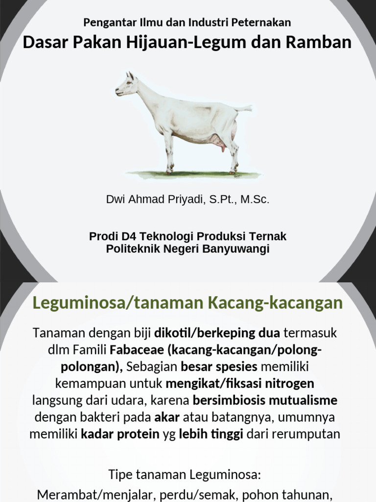 10 Pakan Hijauan-Legum Dan Ramban Lain | PDF