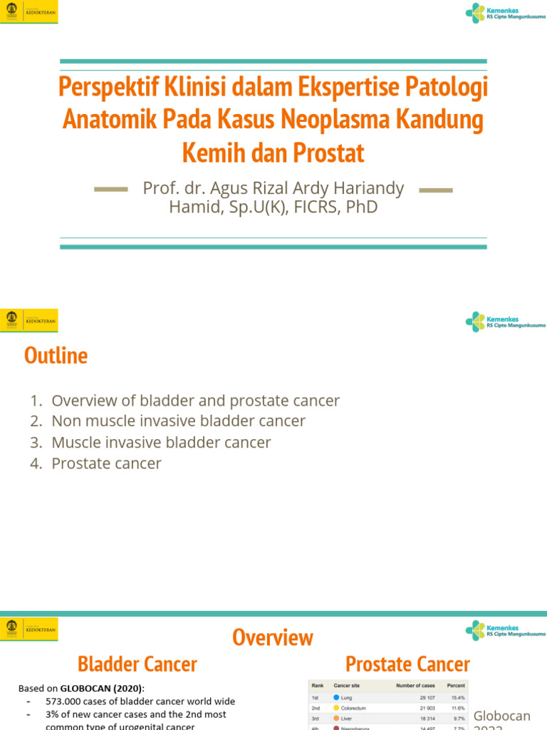Handout Prof Rizal | PDF | Prostate | Prostate Cancer
