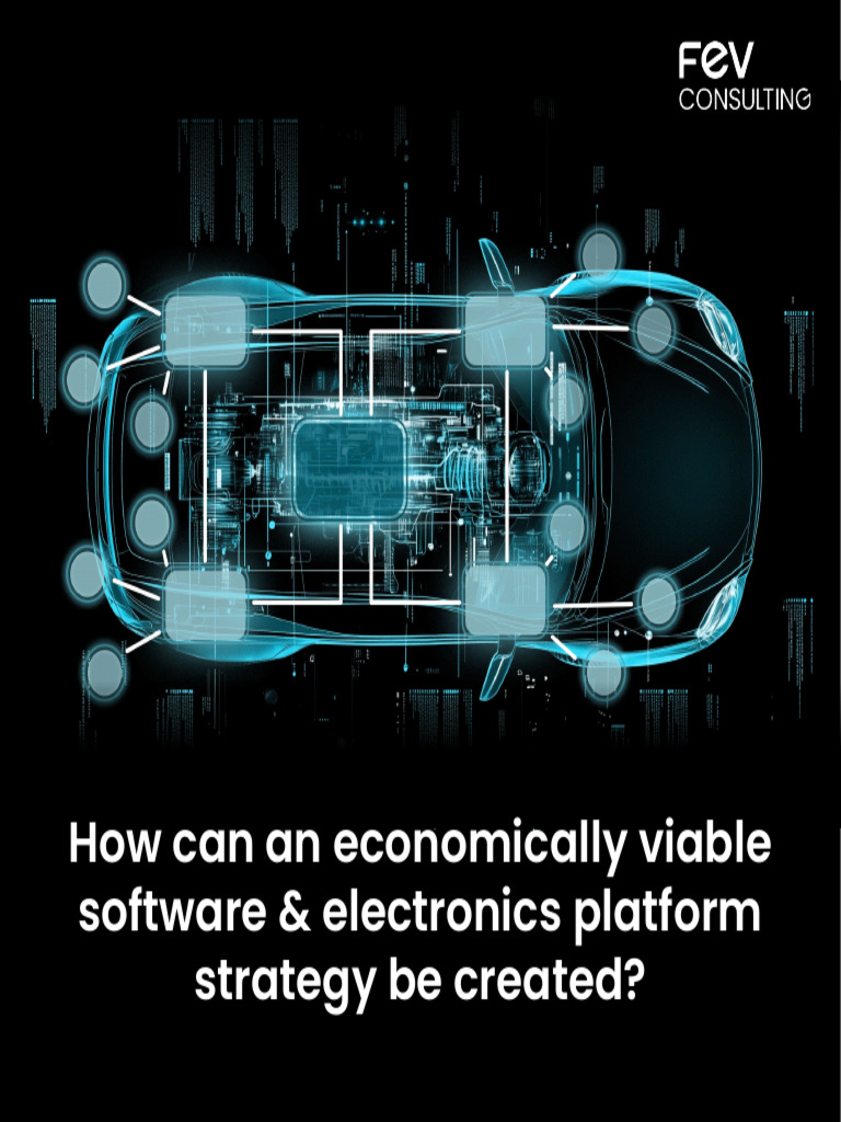 Economically Software & Electronics Platform Strategy | PDF | Computer ...