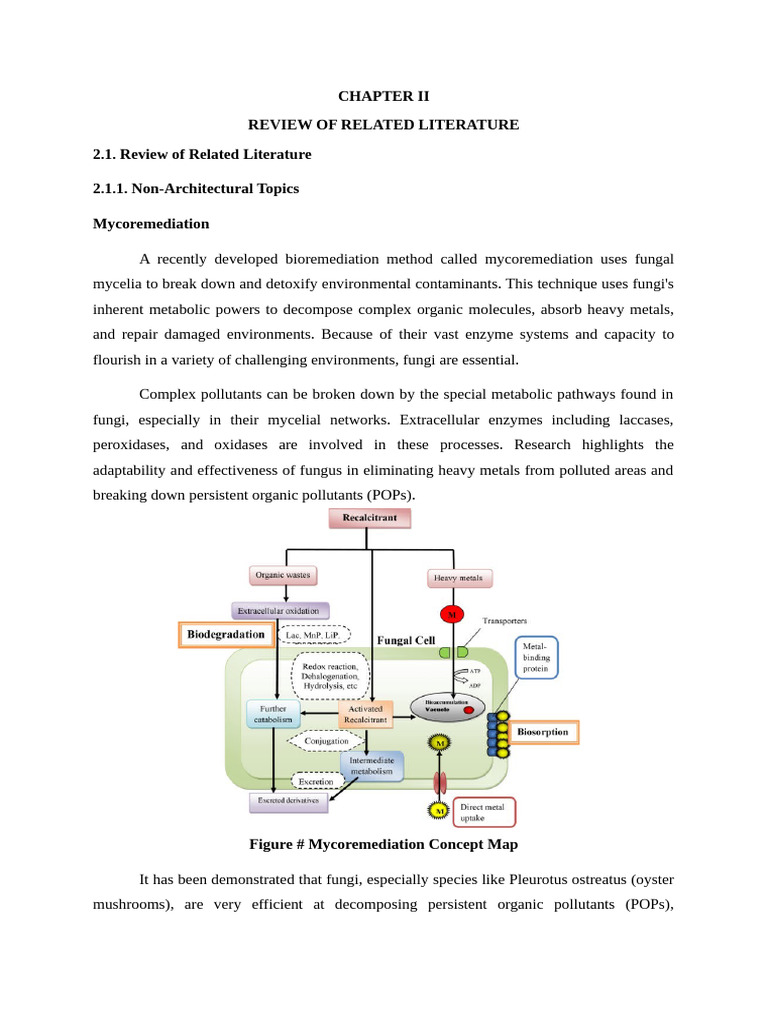 RRL DESIGN CBD - Non-Architectural Approach Pa Lang To | PDF ...