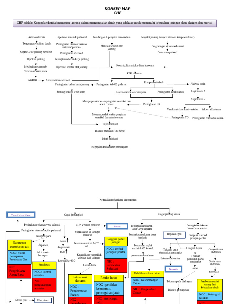 Konsep Map CHF | PDF