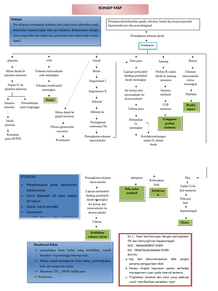 Patway Pre Eklamsia | PDF