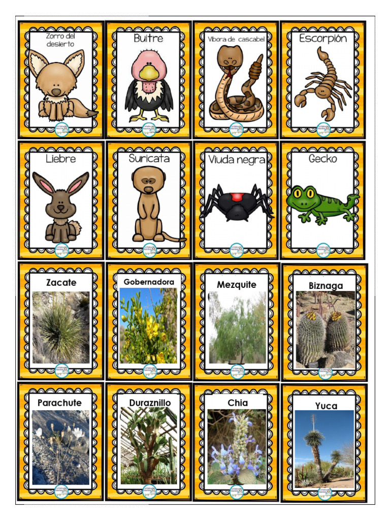 Memorama Desierto | PDF