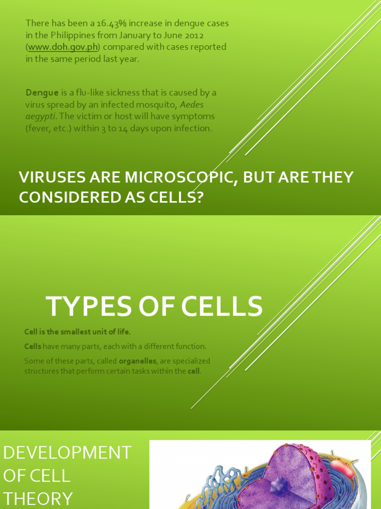 The_Cell_Theory_and_Cell_Types | PDF | Cell (Biology) | Bacteria