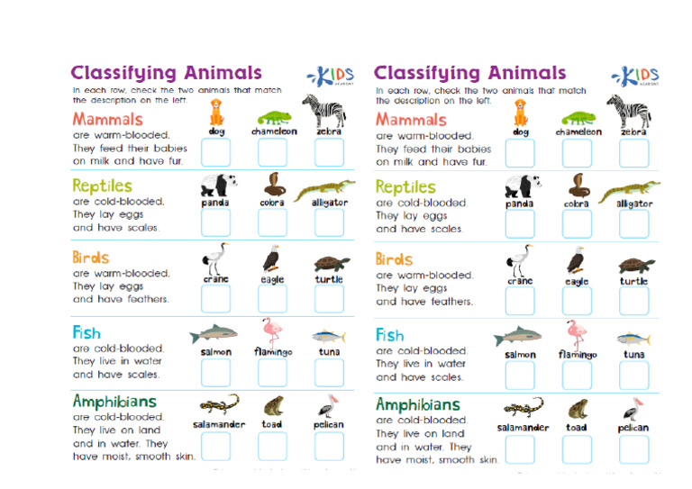 Y1 - (Y4) - Classification of Animal | PDF