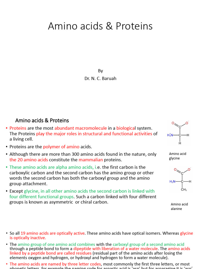 Amino Acids & Proteins | PDF | Amino Acid | Proteins