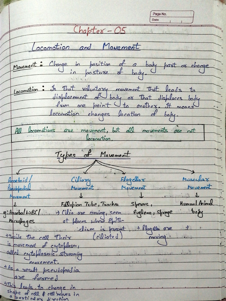 Locomotion and Movement Notes | PDF