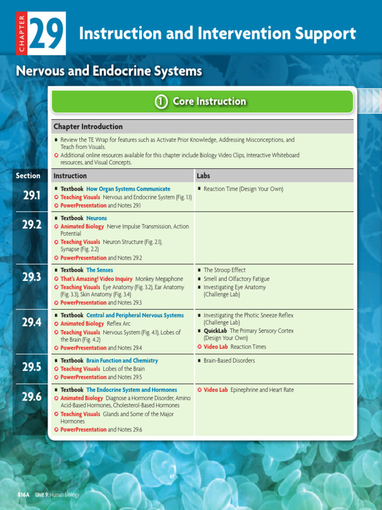 Chapter 29 | PDF | Nervous System | Central Nervous System