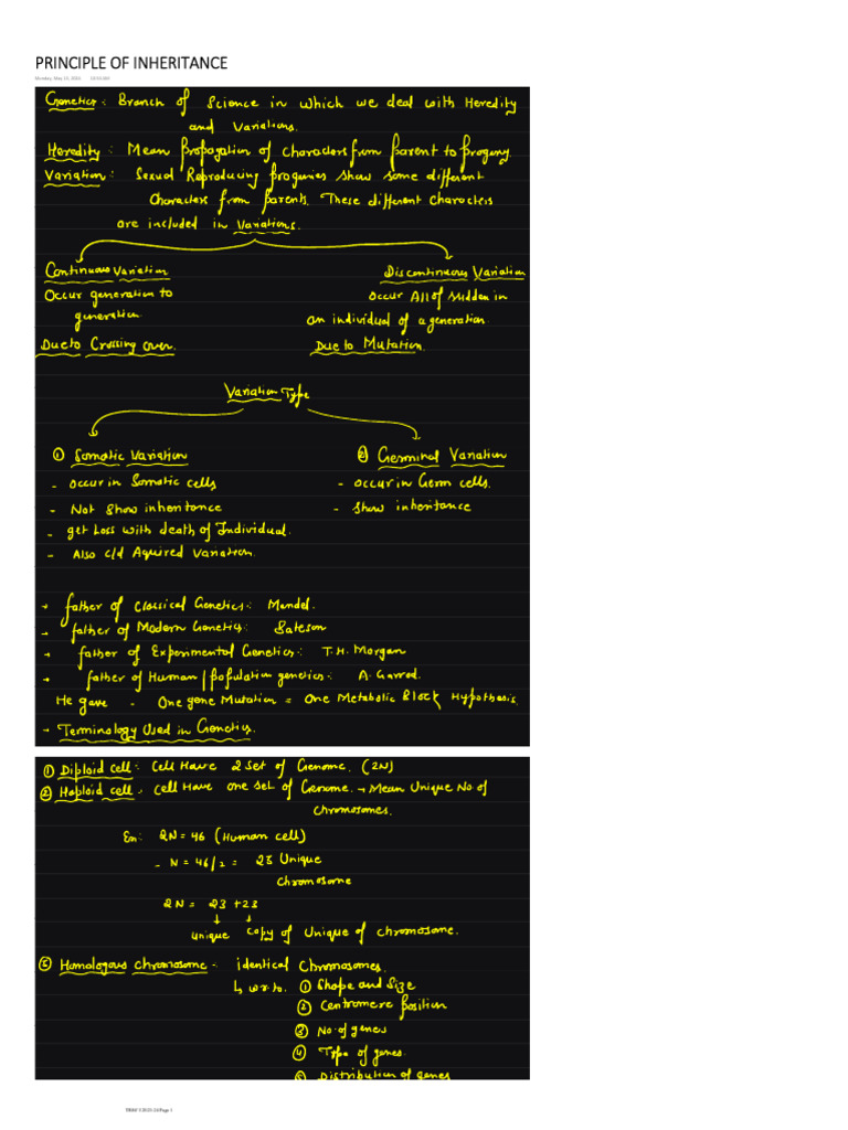 Principle of Inheritance Tr04 | PDF