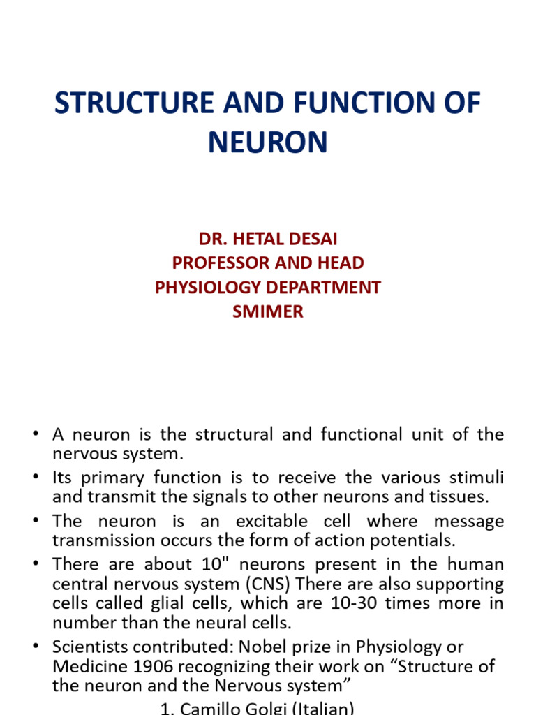 Structure and Function of Neuron-1 | PDF | Axon | Myelin