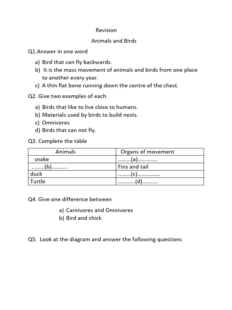 Revision - Animals and Birds (Class 3) | PDF