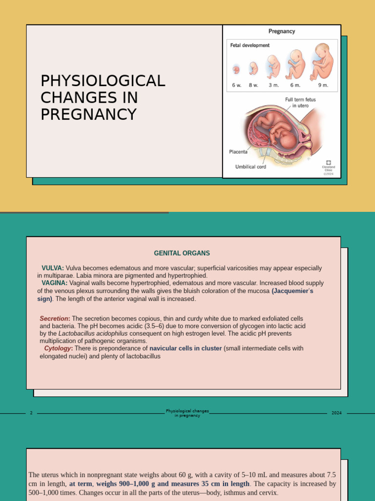 Obstetrics | PDF | Vagina | Uterus