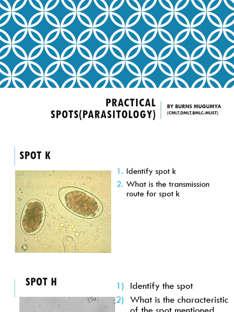 Practical Spots (PARASITOLOGY) | PDF | Parasitism | Parasitology