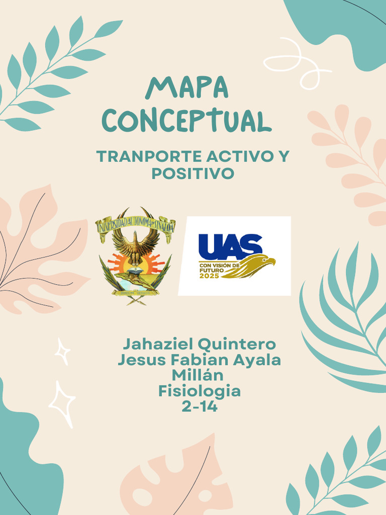 JFAM_Transporte_Activo_Pasivo | PDF