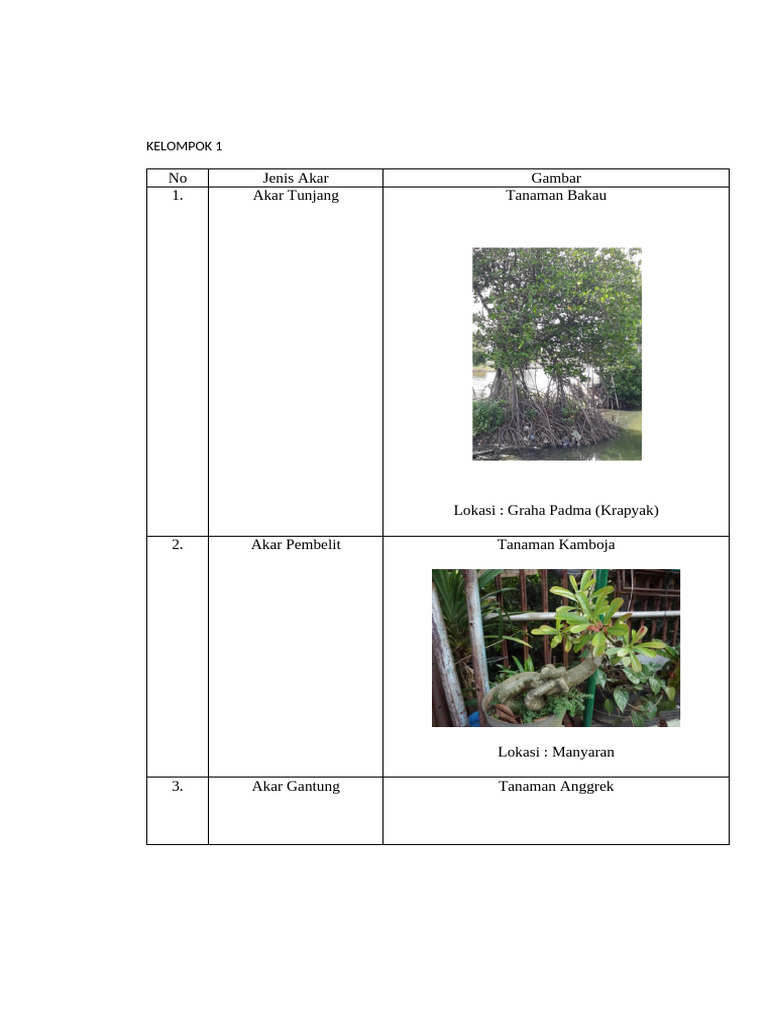 Jenis-Jenis Akar Tanaman dan Lokasinya | PDF