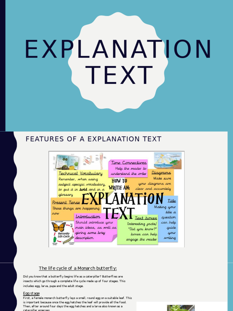 English Week 3 Explanation Text PowerPoint | PDF | Pupa | Butterfly
