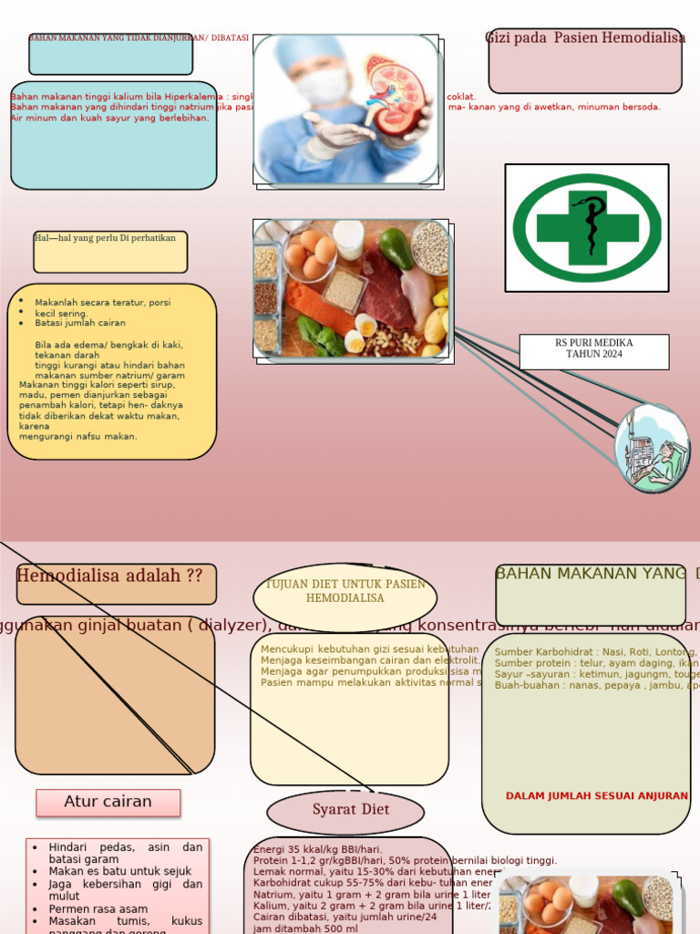 Diet Sehat untuk Pasien Hemodialisa | PDF