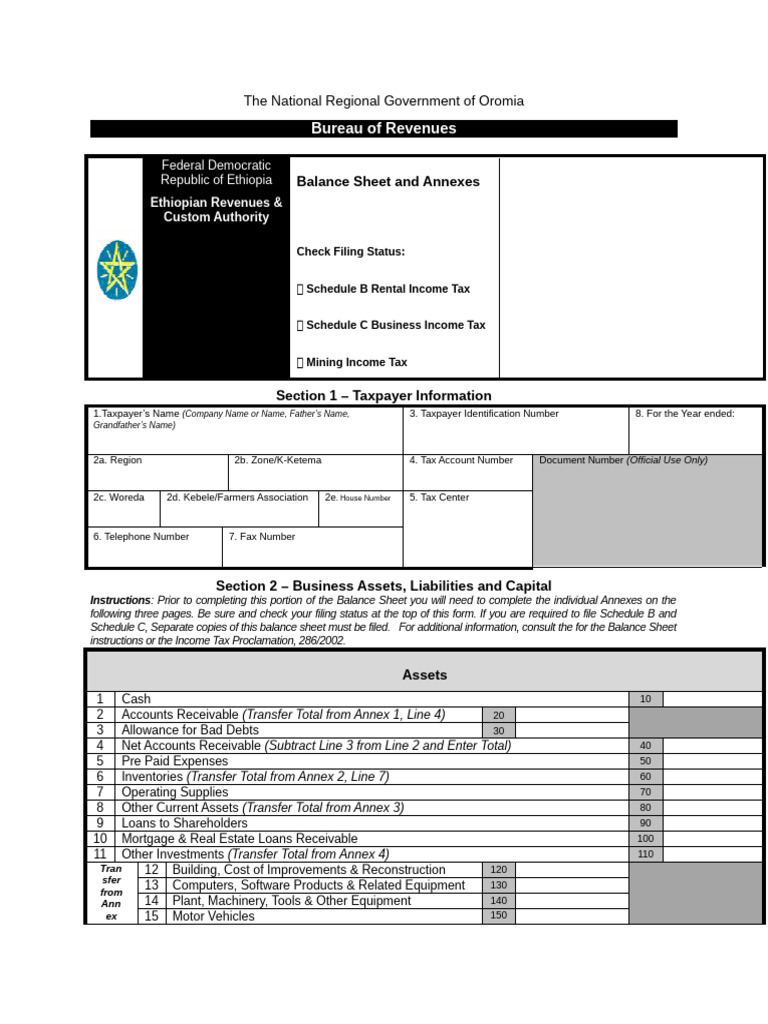 Oromia Taxpayer Balance Sheet Form | PDF | Book Value | Balance Sheet