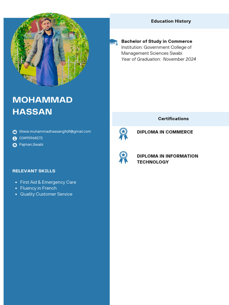 Blue Light Blue Color Blocks Flight Attendant CV | PDF