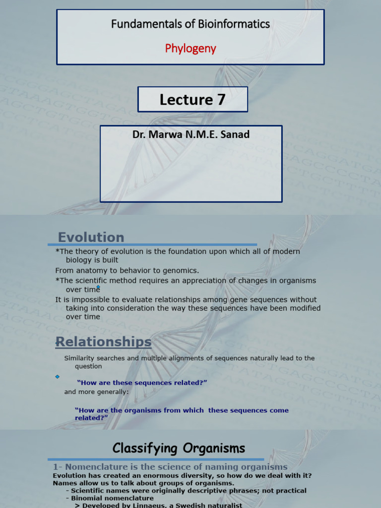 Fundmentals of Bioinformatics - L7 | PDF | Phylogenetic Tree ...