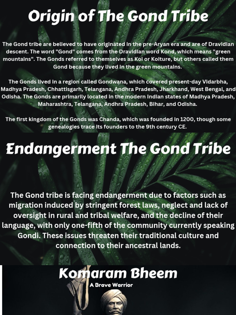 Gond Tribe | PDF