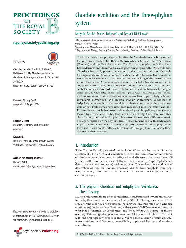 Chordate Evolution and Classification | PDF