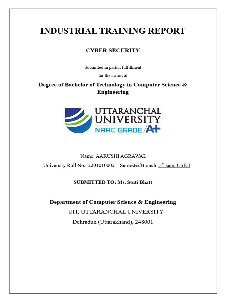 Cs Report | PDF | World Wide Web | Internet & Web