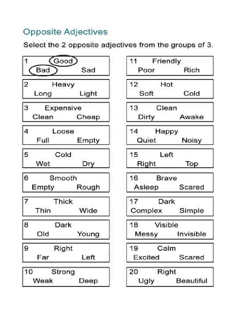 OPPOSITE | PDF