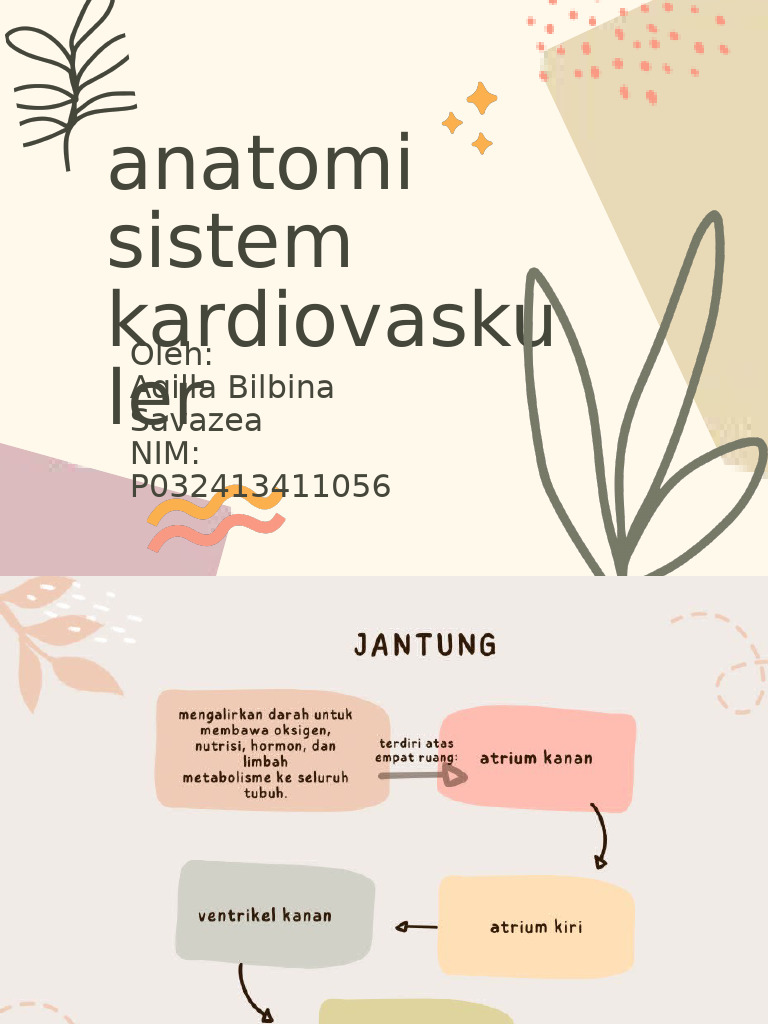 Anatomi Sistem Kardiovaskuler.pptx | PDF