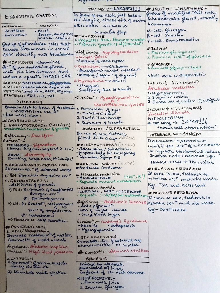 endocrine system | PDF | Endocrine System | Animal Anatomy
