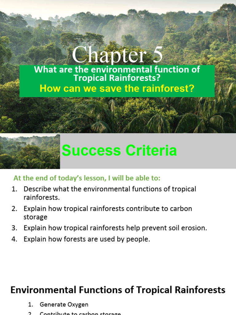 Chapter 6 (Slides) | PDF | Rainforest | Soil