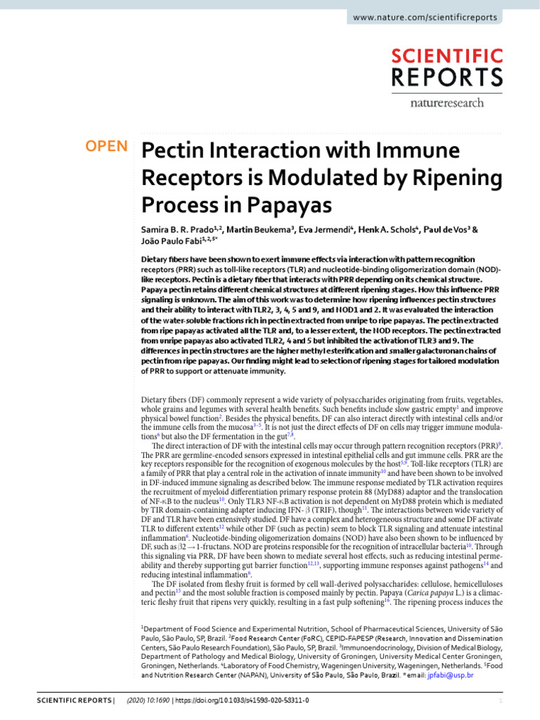 Pectin Interaction With Immune Receptors Is Modulated by Ripening Process in Papayas | PDF ...