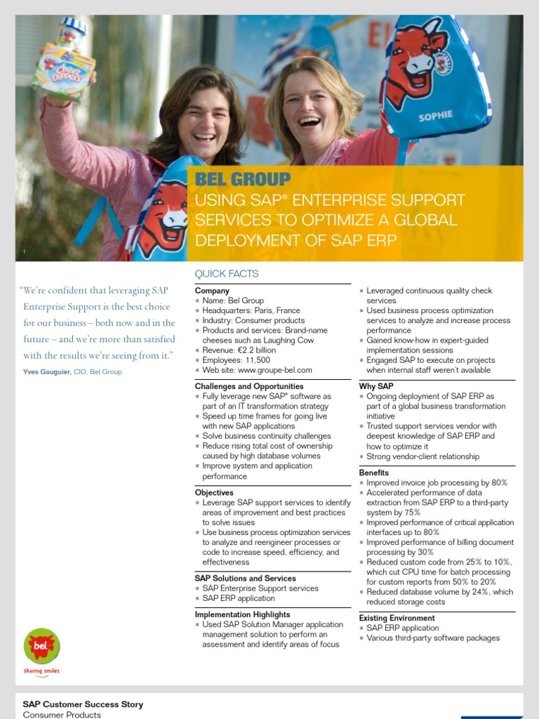 Bel Group | PDF | Sap Se | Business Process