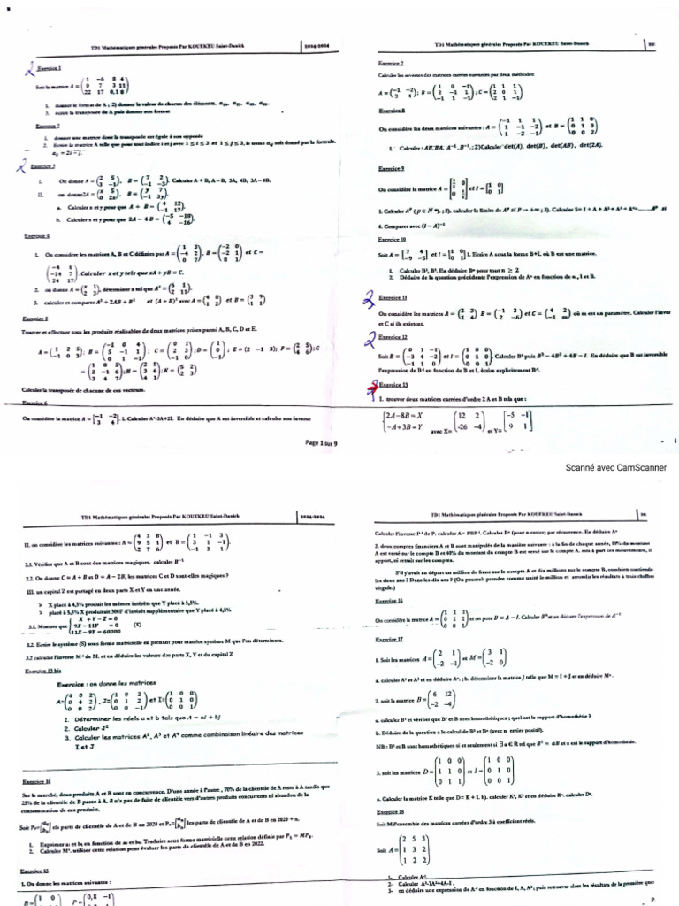TD Sur Les Matrices | PDF