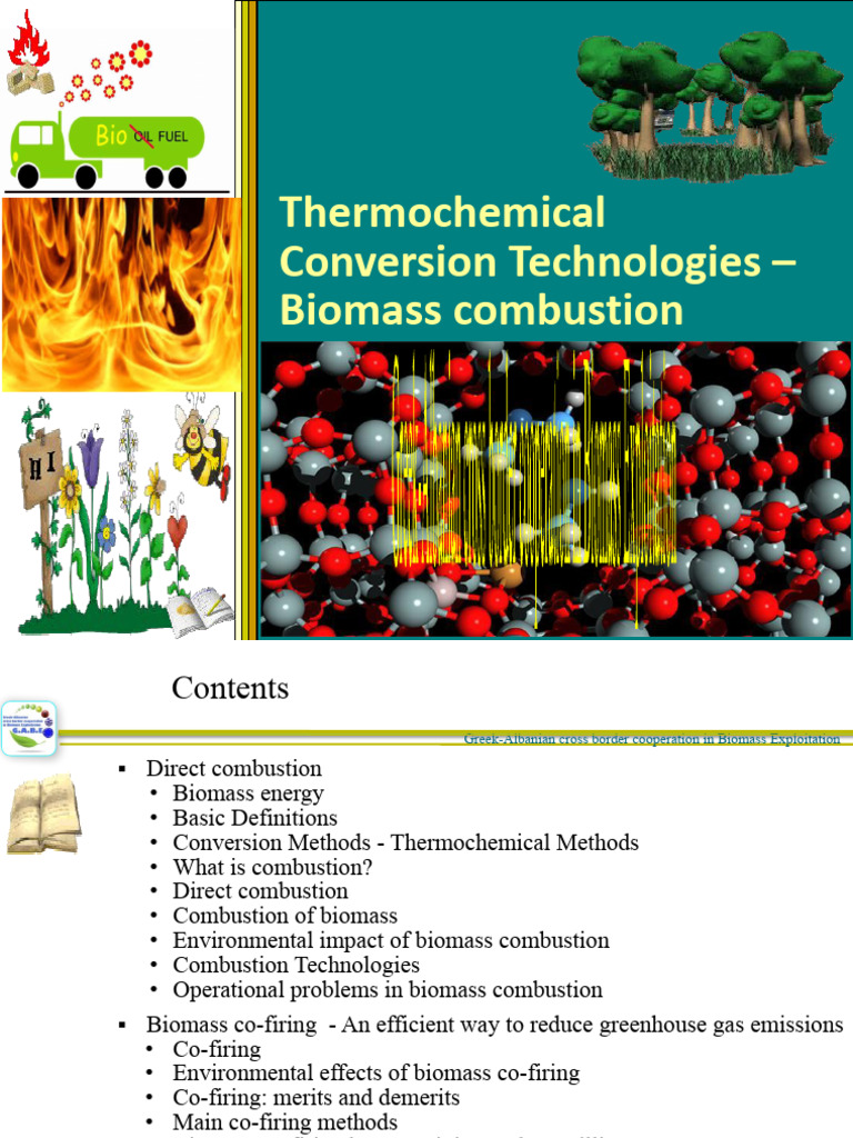 Biomass Combustion - PPT (1) Waste To Energy | PDF | Combustion | Fires
