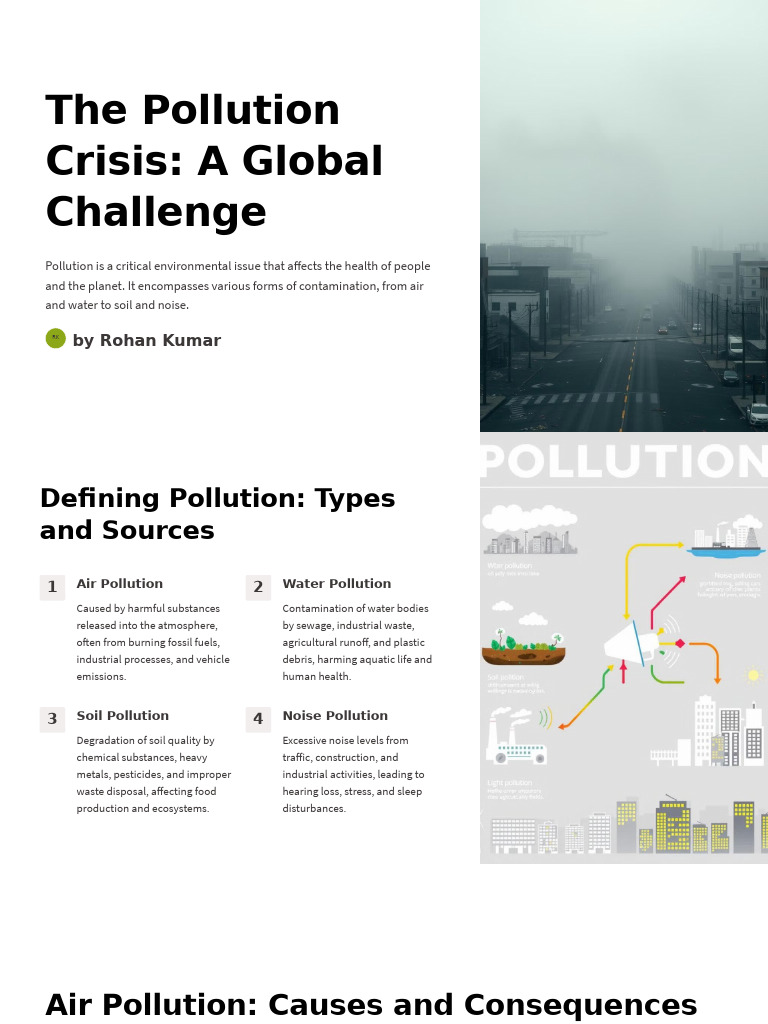 The Pollution Crisis A Global Challenge | PDF | Pollution | Water Pollution