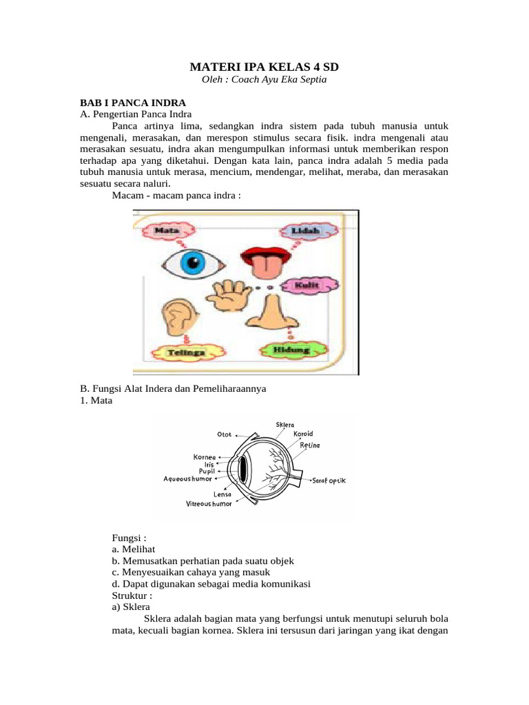 Materi Ipa Kelas 4 SD Bab I | PDF