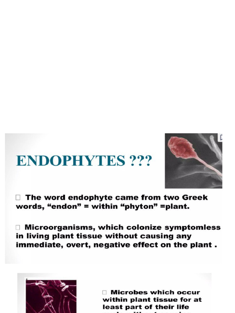 Endophyte | PDF