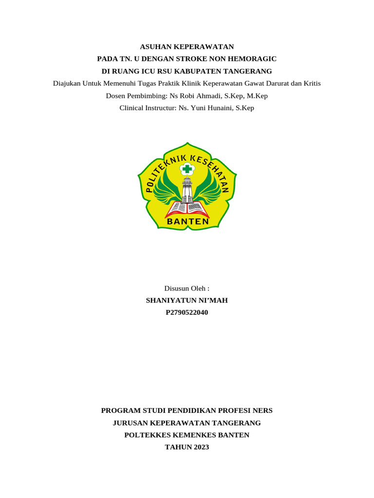 LP + Askep SNH (Iccu) | PDF