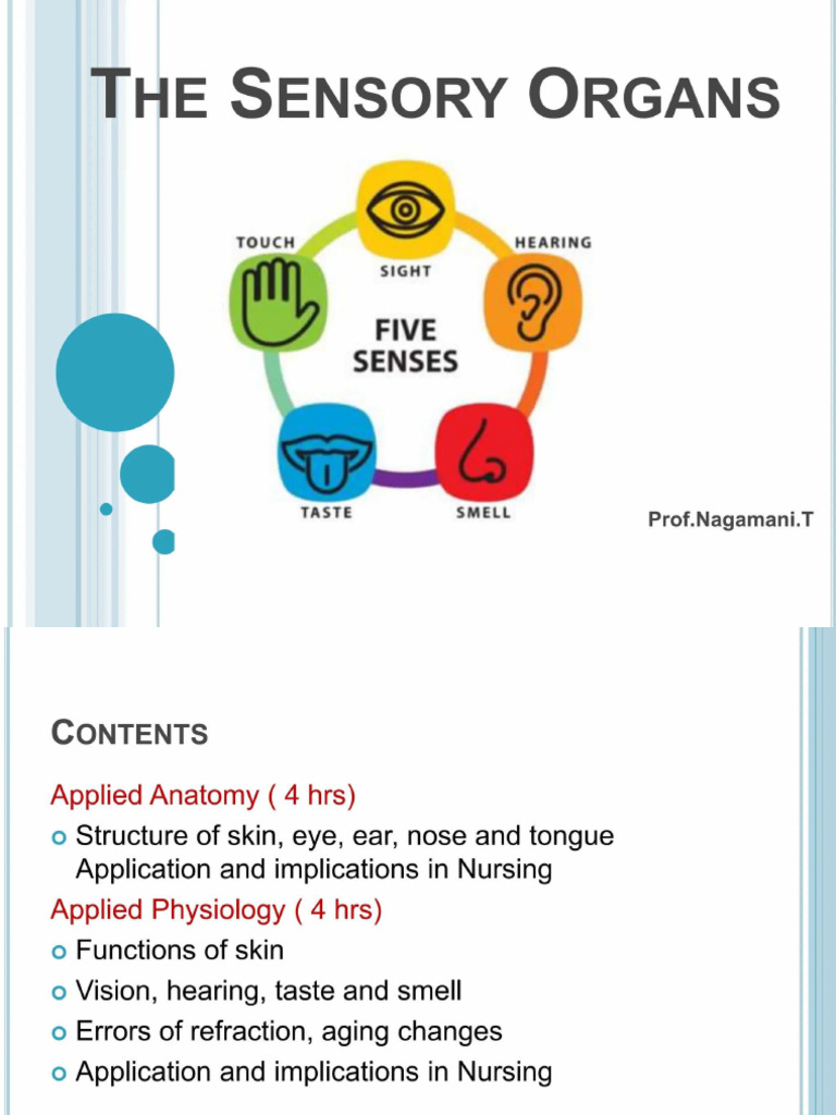 The Sensory Organs | PDF