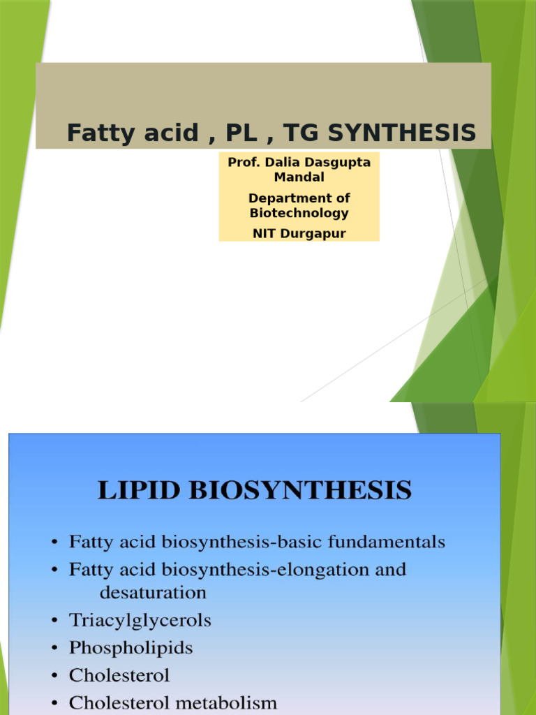 Lipid FA TG and PL Choles in Brief Synthesis PPT Aug 21-2 | PDF ...