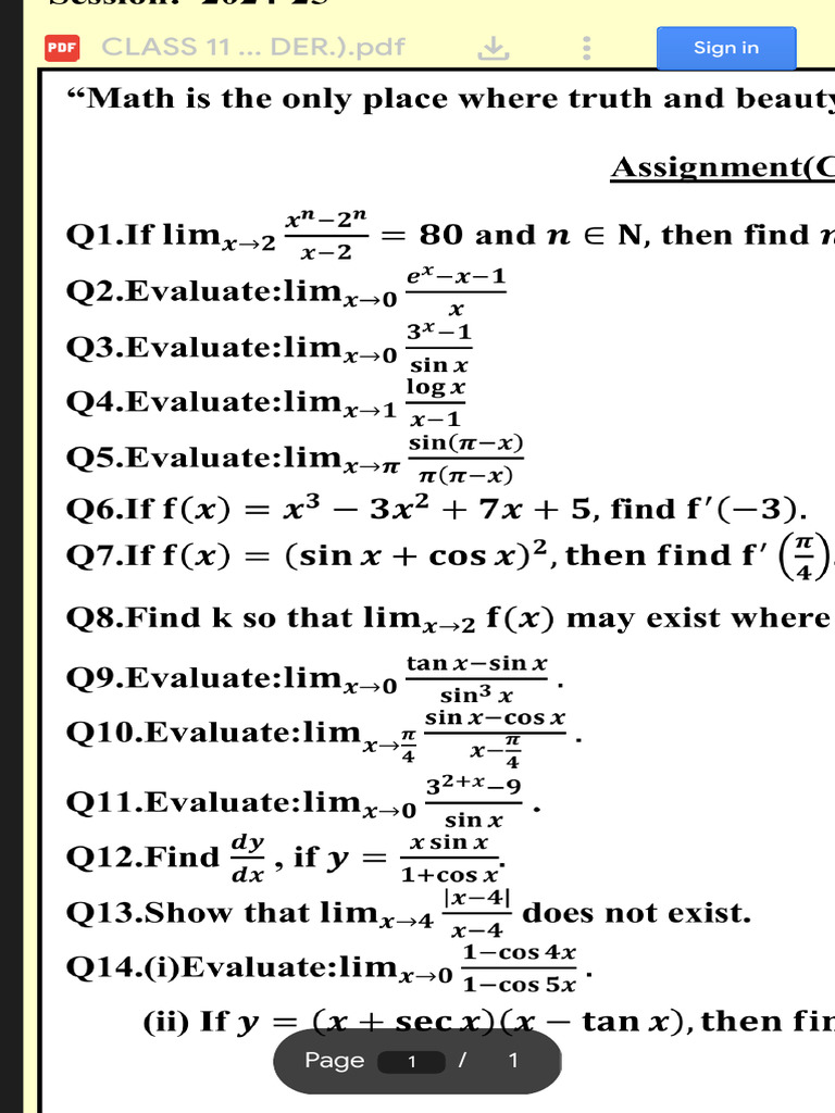 Class 11 Assignment (Lim. & Der.) .PDF - Google Drive | PDF