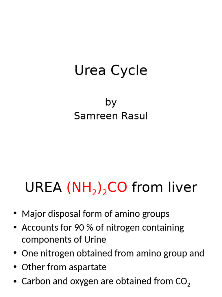 Urea Cycle | PDF
