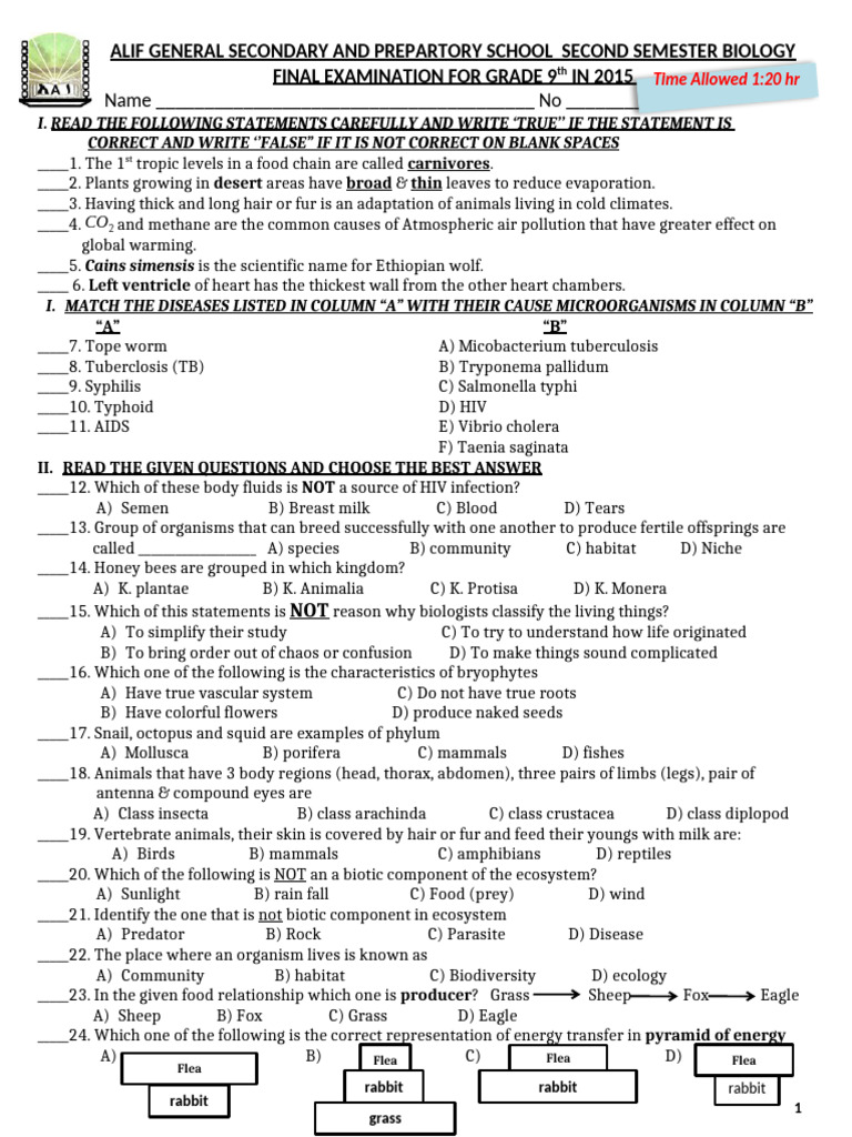 Grade 9 Biology Final Exam 2015 | PDF | Electron Transport Chain ...