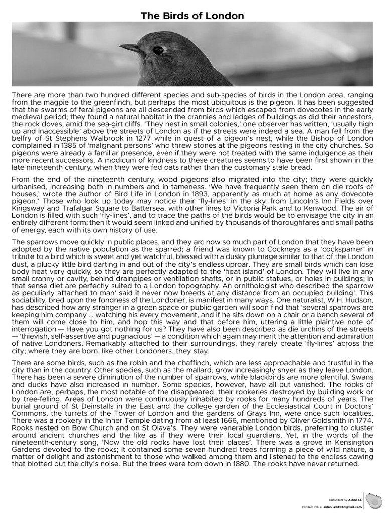 Handout - The Birds of London | PDF