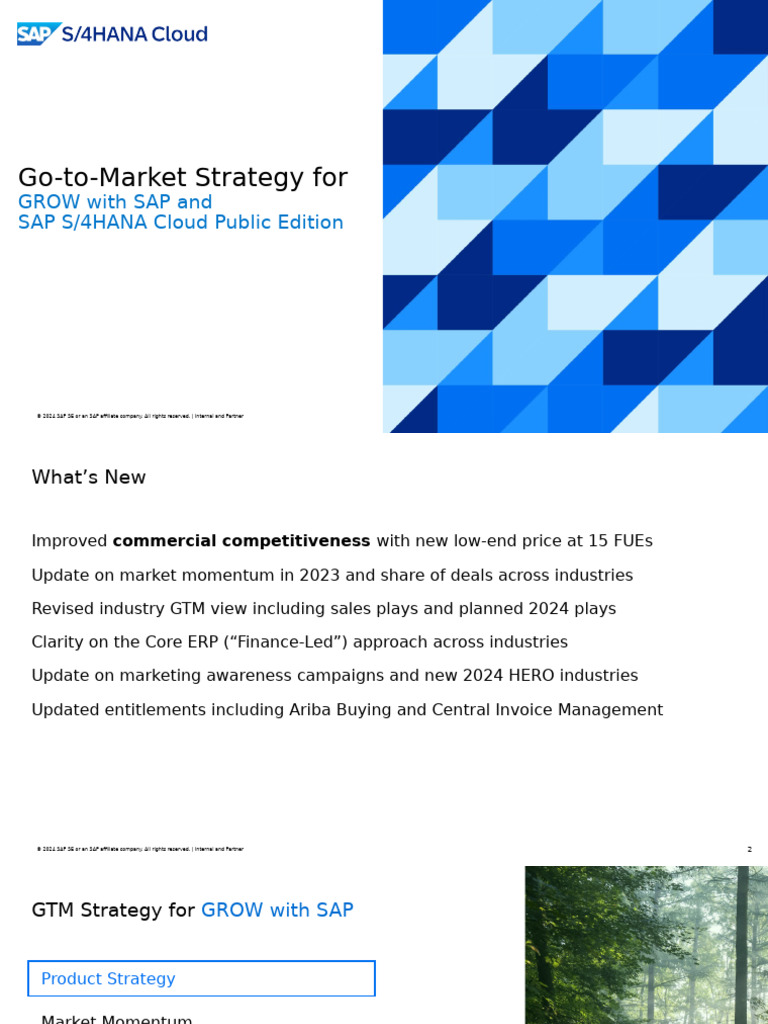 S4HANA Cloud Public Edition GTM Strategy 2024 | PDF | Enterprise Resource Planning | Cloud Computing